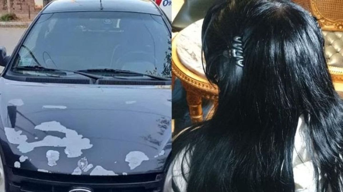 Caso Agostina Vega: detuvieron a la dueña del auto que habría sido ...
