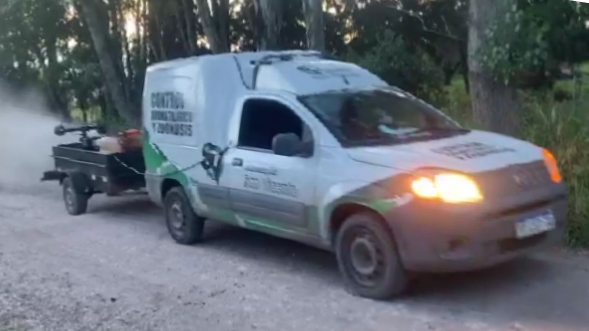 La invasión de mosquitos se siente en San Vicente: No damos abasto para fumigar