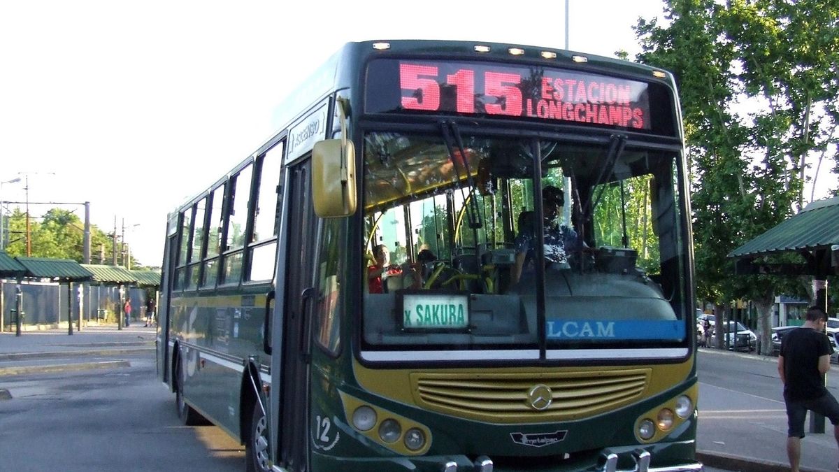 La línea 515 tendrá un nuevo ramal: cómo será su recorrido