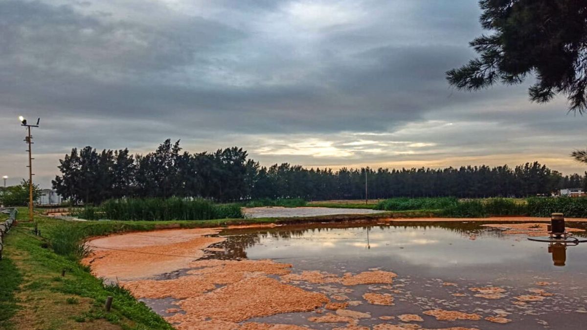Sancionaron a un frigorífico de El Jagüel por contaminar el arroyo Ortega