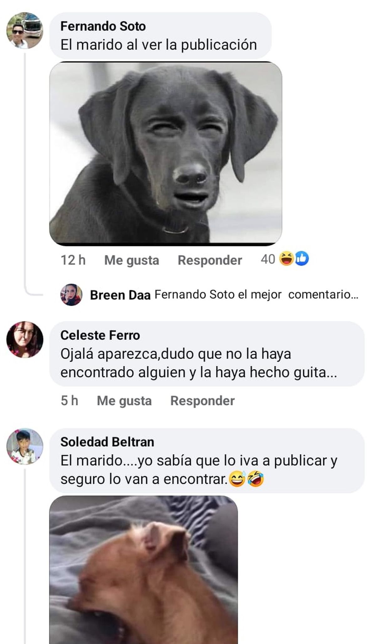 Viral: una vecina de Lomas pidió ayuda para recuperar la alianza de su ...