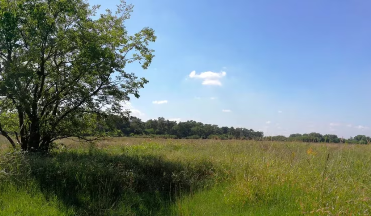 Impulsan la expropiación de los terrenos de la Reserva Natural Santa ...