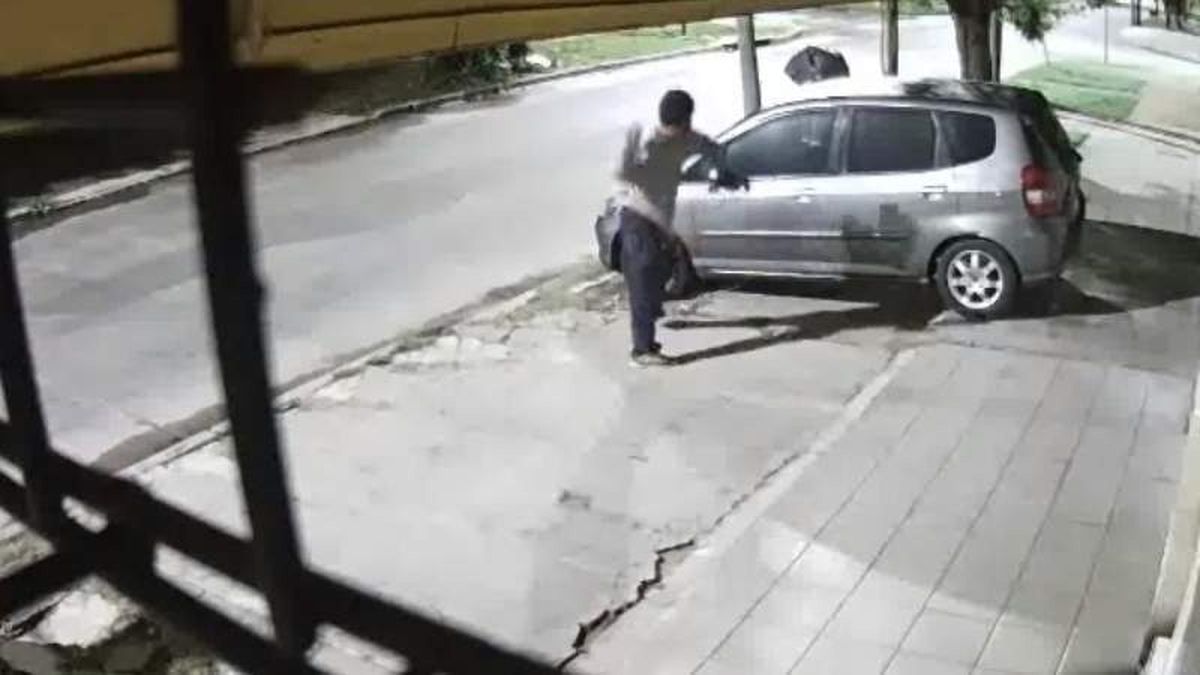 Alivio para los vecinos de Lomas: internaron al Loco Matías