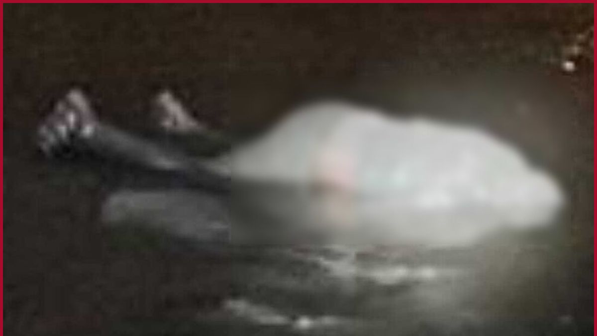 Horror en Budge: encontraron otro cuerpo en el Riachuelo Horror en Budge: encontraron otro cuerpo en el Riachuelo