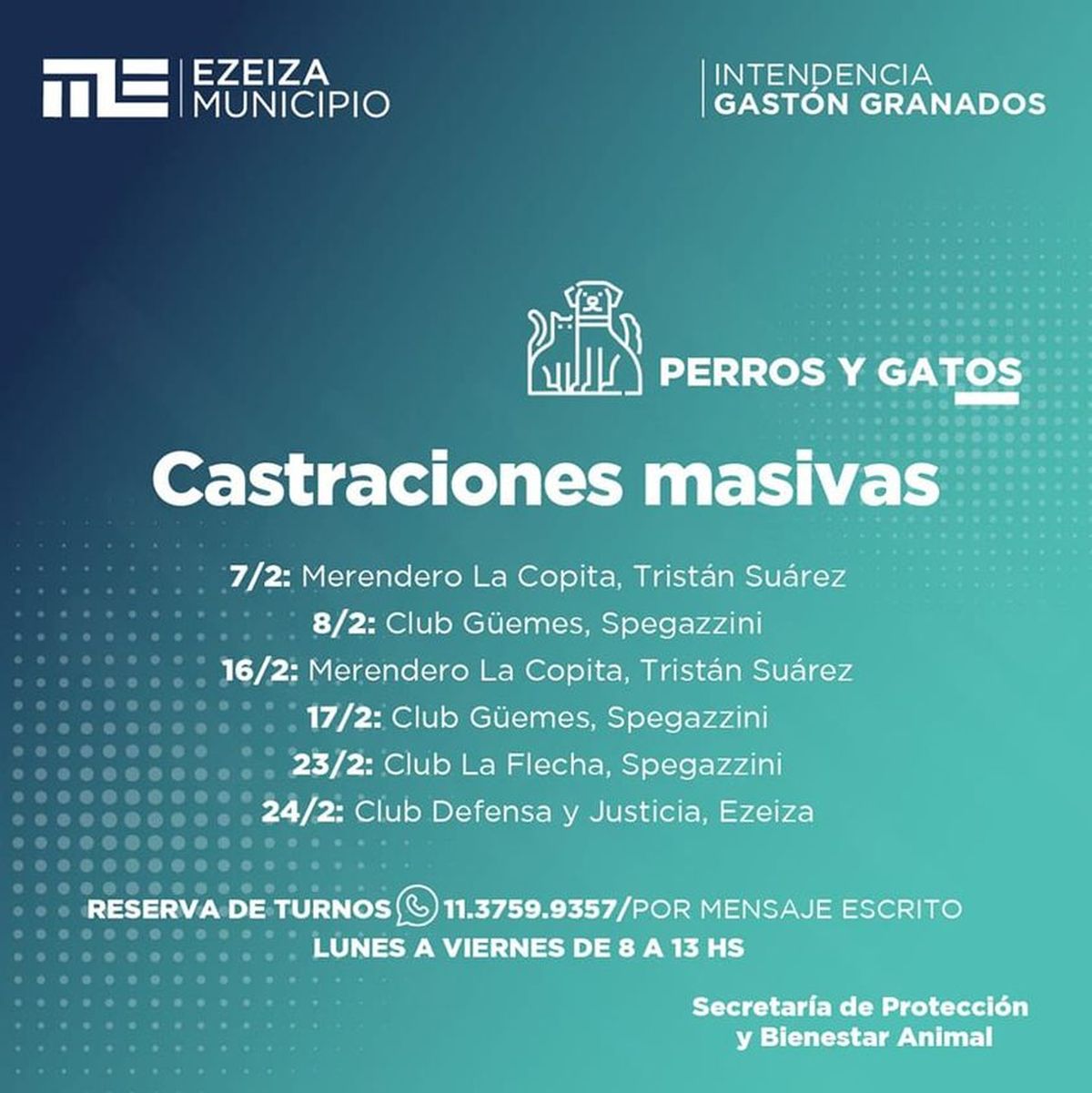 Castraciones gratuitas en Ezeiza: cómo anotarse y a dónde ir