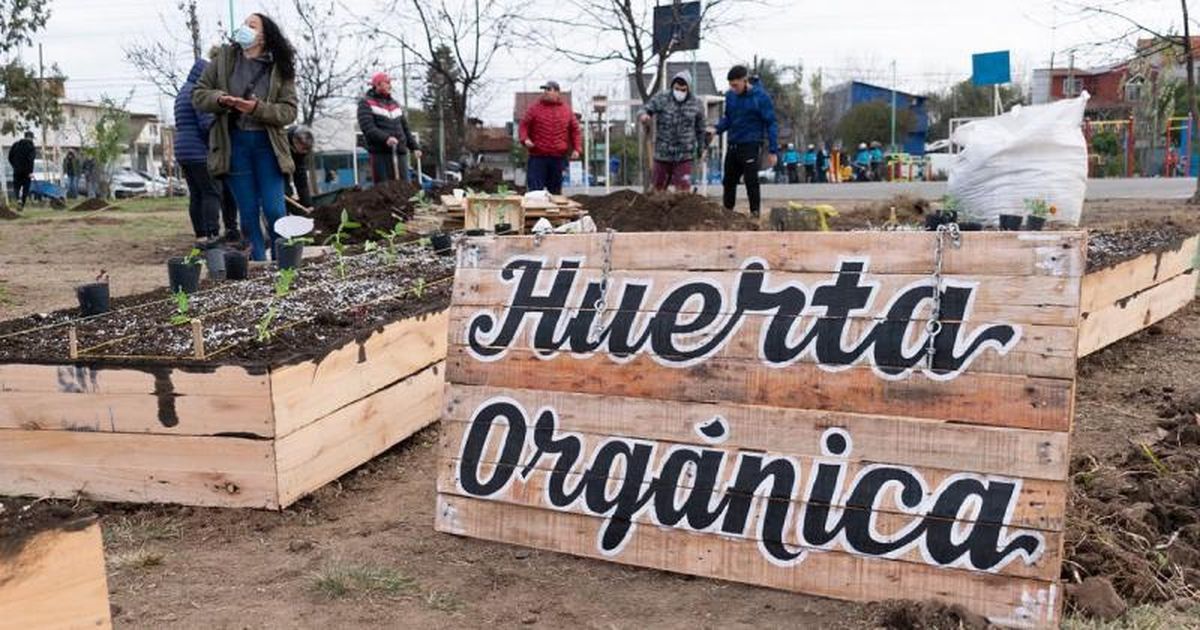 Realizan visitas guiadas en parques de Lomas