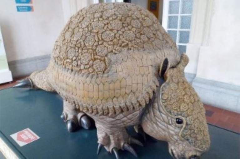 A un año del hallazgo del gliptodonte en Ezeiza: ¿Qué ocurrió con el fósil?